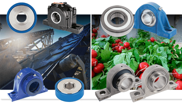 Timken Food & Beverage Solutions | Food & Beverage | Applied | Applied